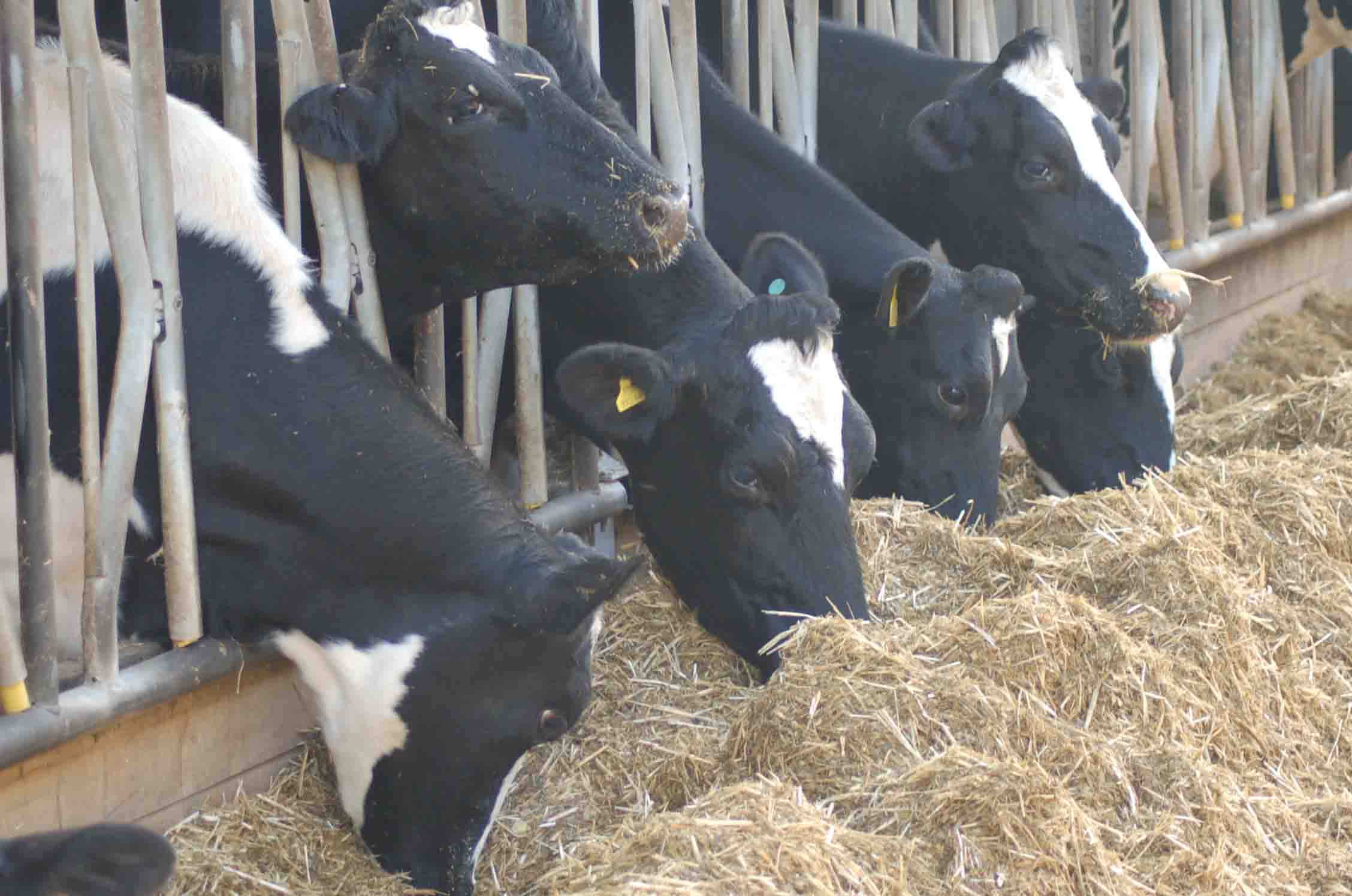 Products - NWF Agriculture