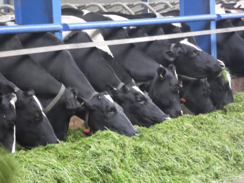 Moist Feeds - NWF Agriculture