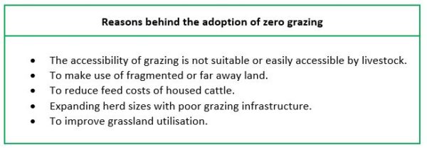 Zero Grazing Systems - NWF Agriculture - Technical