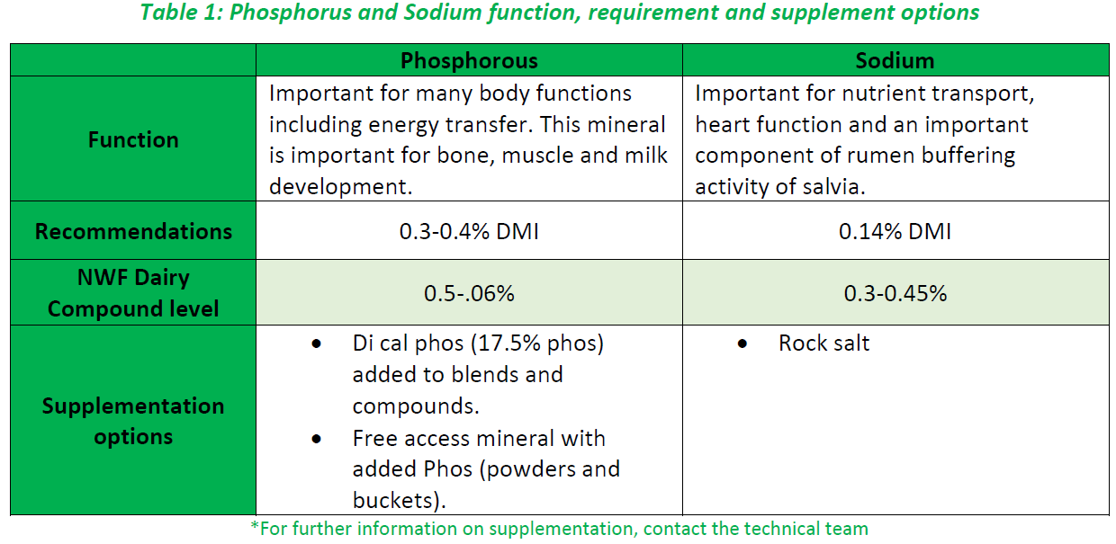 Are your cows experiencing Pica? - NWF Agriculture - Technical