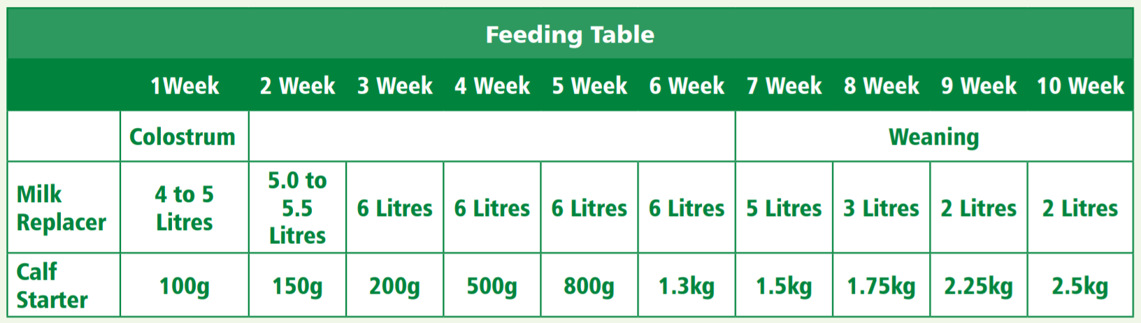 Rearing Dairy-Beef Calves