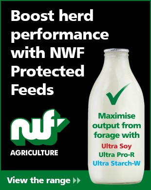 NWF Agriculture | UK Ruminant Feed Manufacturer & Products