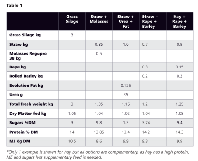 Winter forage stock considerations | NWF Agriculture | News