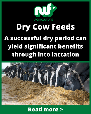 NWF Agriculture | UK Ruminant Feed Manufacturer & Products