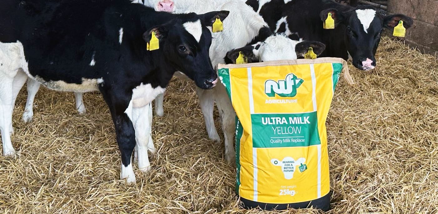 Pre-Weaning Management: Rearing for Success | NWF Agriculture