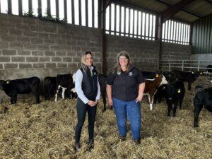 Sustainable ration proves worthwhile for calf rearing unit | NWF ...