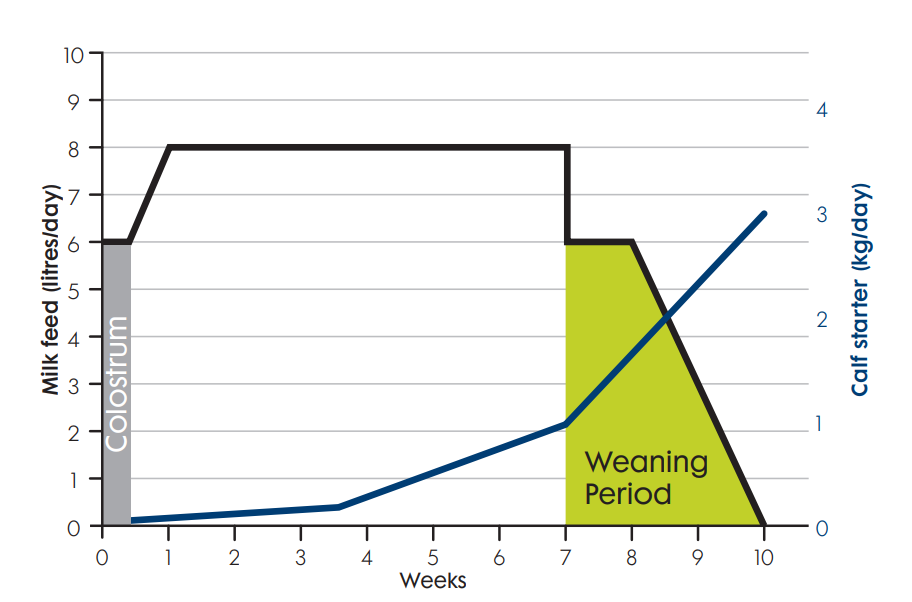 NWF Ultra Life Milk Replacers - NWF Agriculture